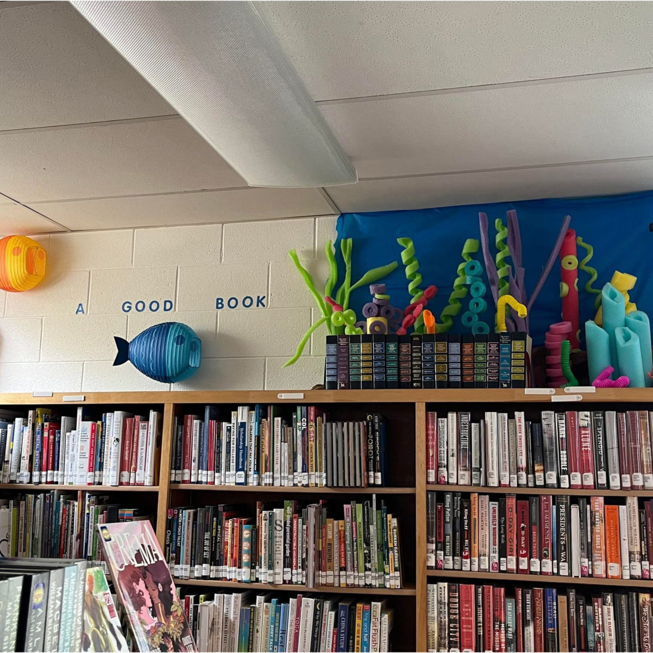 District Library - Village of Fruitport